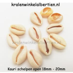 Mat zwarte kauri schelp 2x - Kralenwinkel Albertien