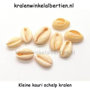 Kunststof kauri schelp 18mm 10x - Kralenwinkel Albertien